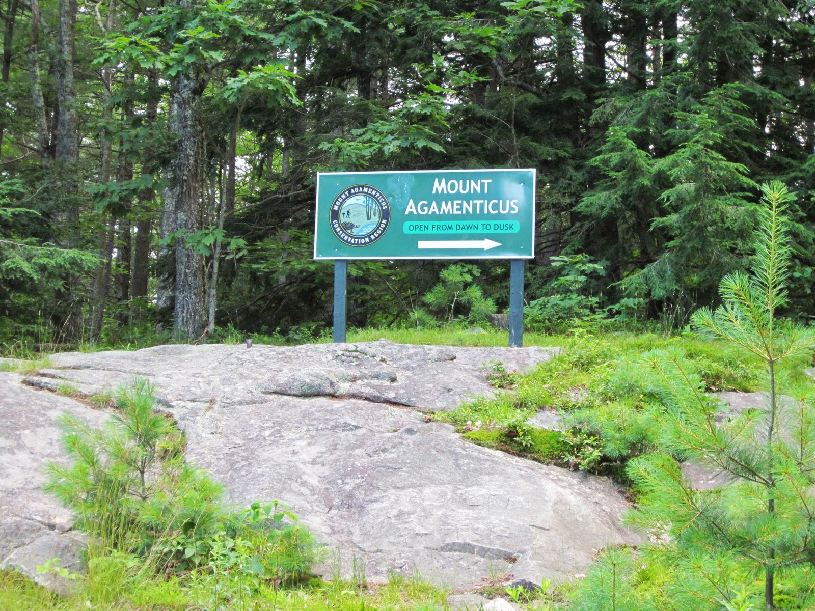 On The Loose To Climb A Mountain: Mount Agamenticus - Little Dude's ...