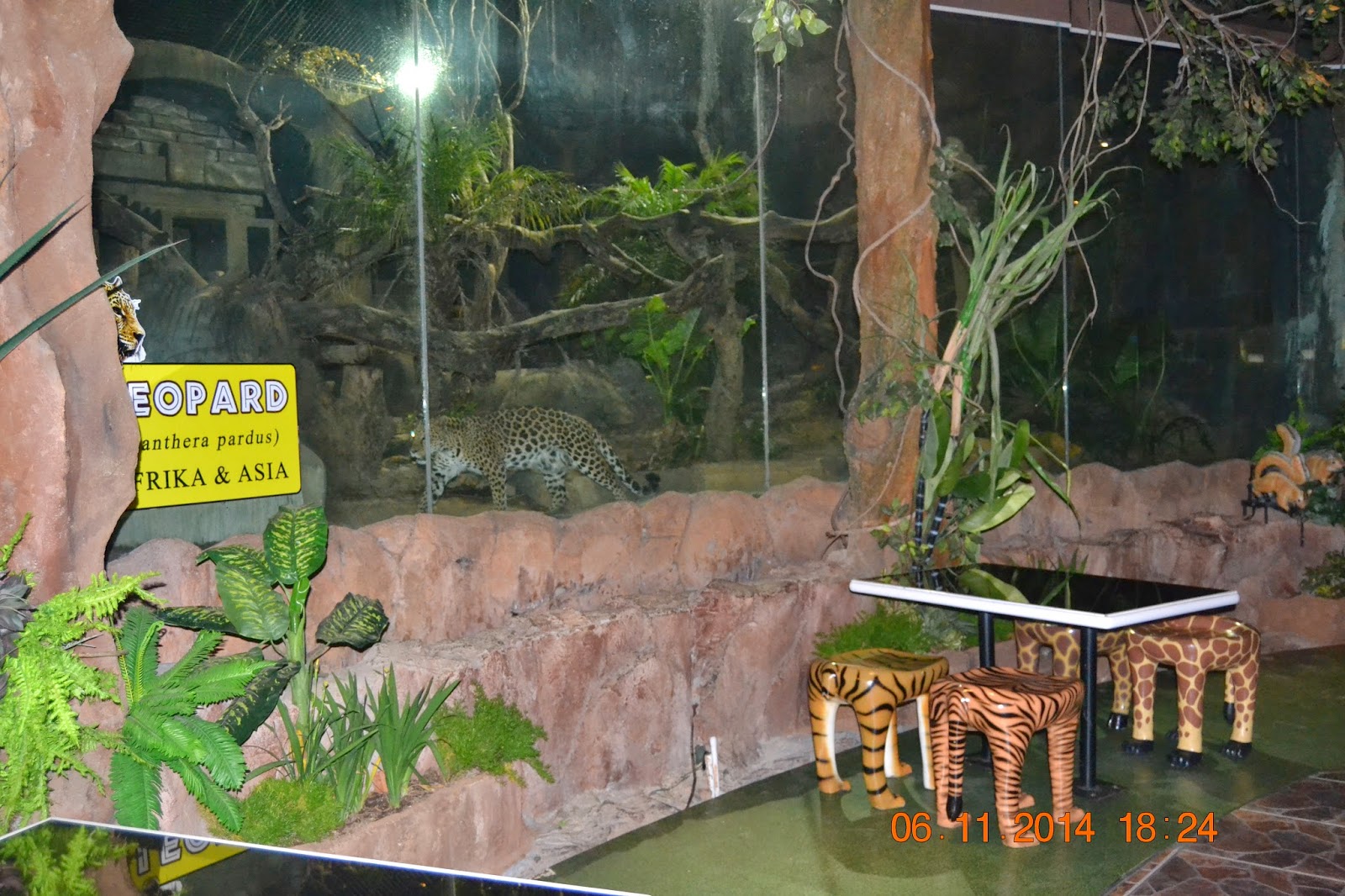 NamNam Bobo di Pohon Raksasa @Pohon Inn Batu-Malang - NamNamStory