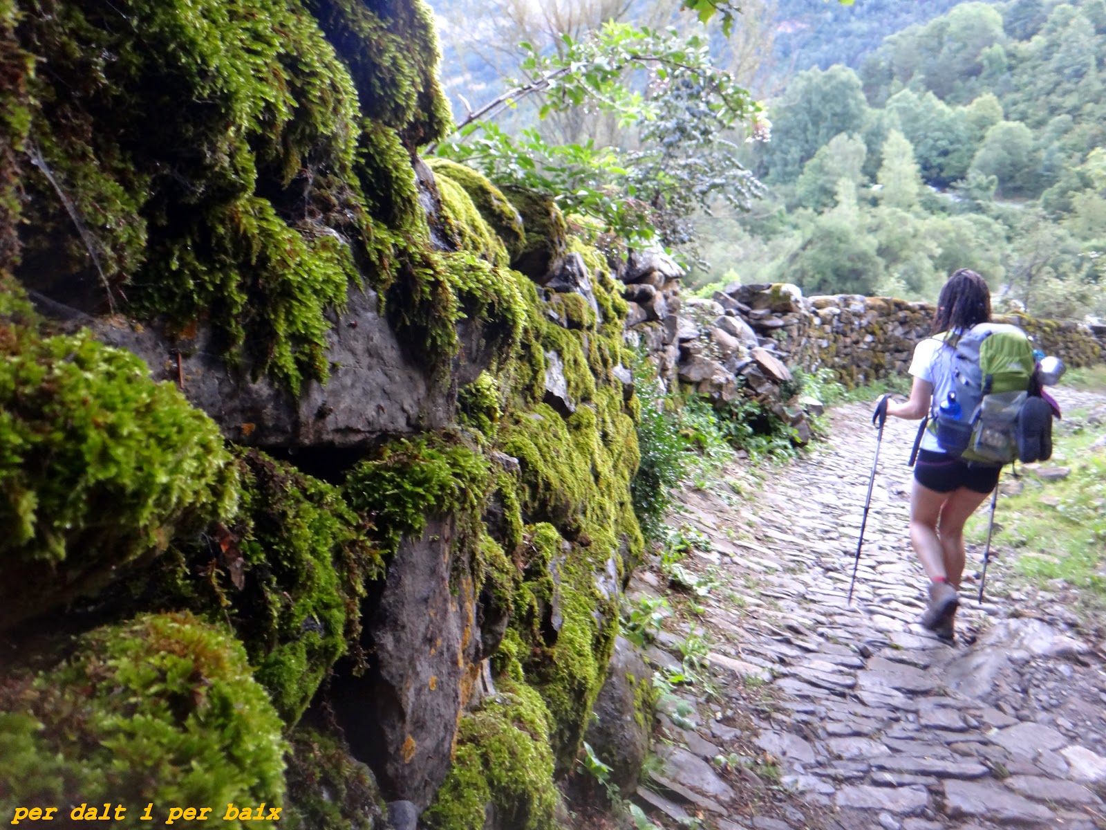 Monte Perdido Extrem - 3ª Etapa: Refugio Lucien Briet (Torla) - Refugio ...
