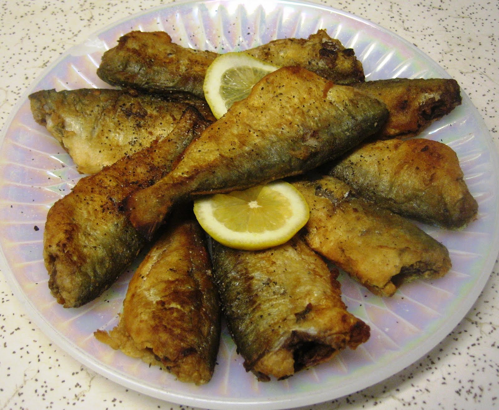 LA CASA E IL GIARDINO: Snapper Fishing with Family