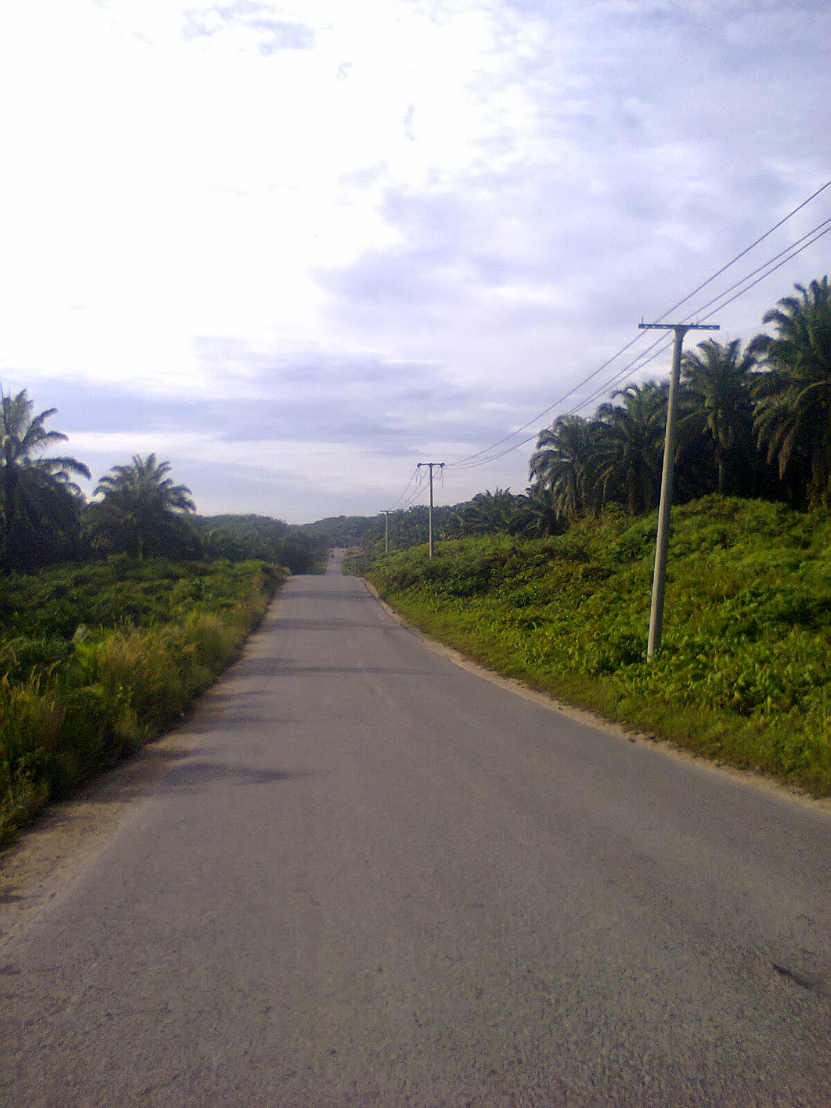 HM Zwan: Petualangan Seru ke Rengat Riau