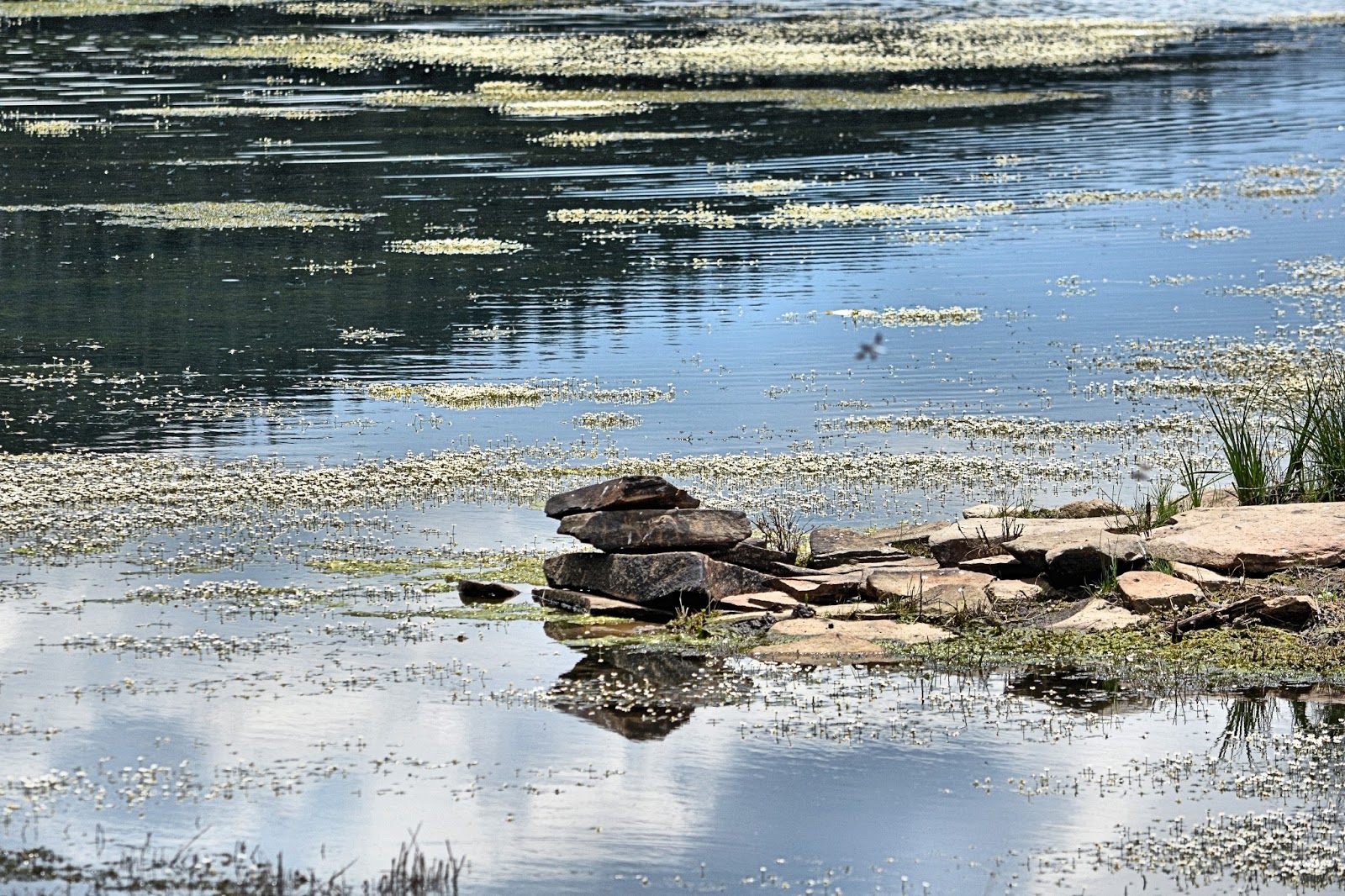 Creative Journey: Week 30 - 2016 in Photographs