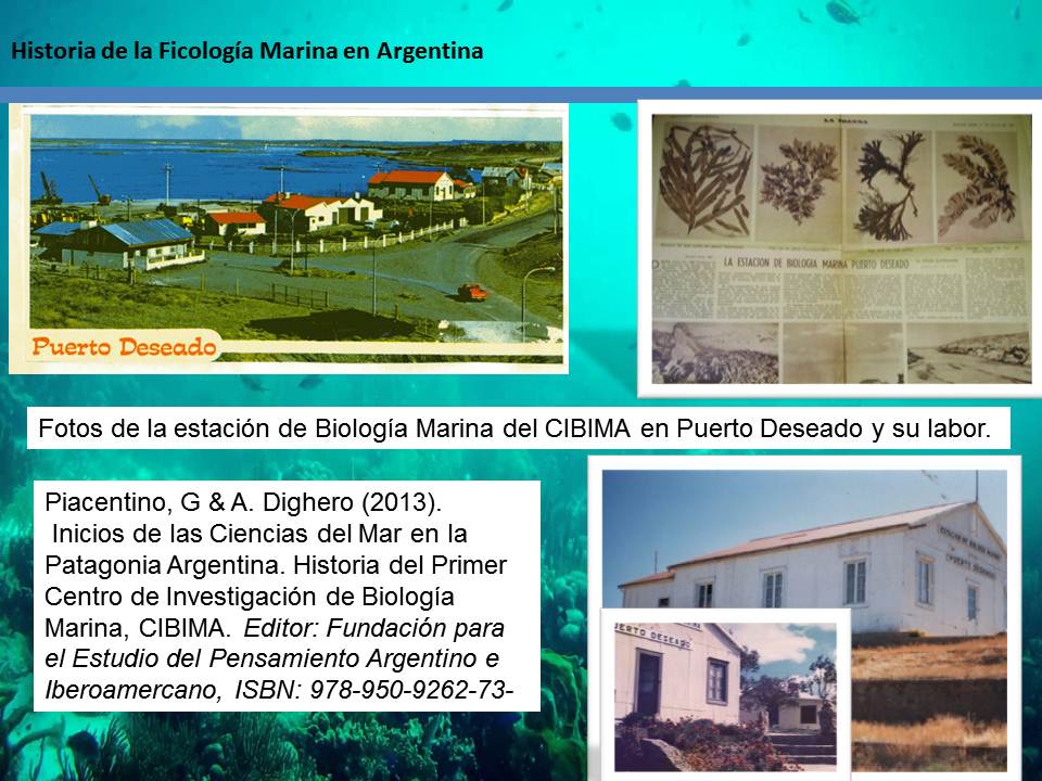 HIstoria de la Ficología Marina Argentina