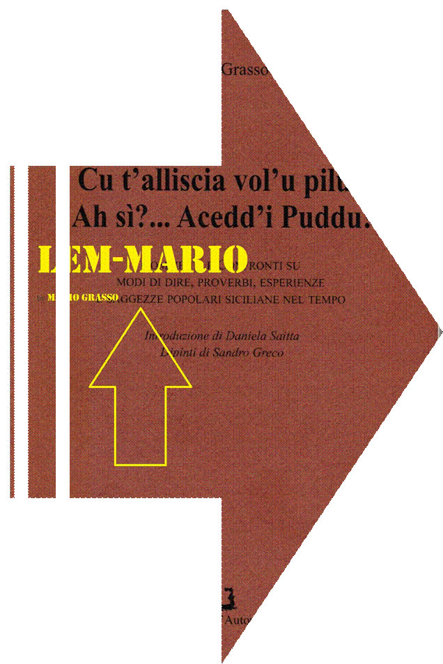 Mario Grasso Littra a V.S.Gaudio