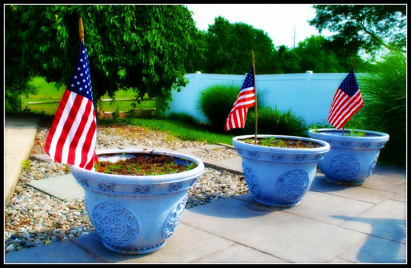 Serendipity's Library: Collections