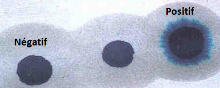 ESSAIS DE SOL - Essai au bleu de méthylène - FORMATION B.TP.H