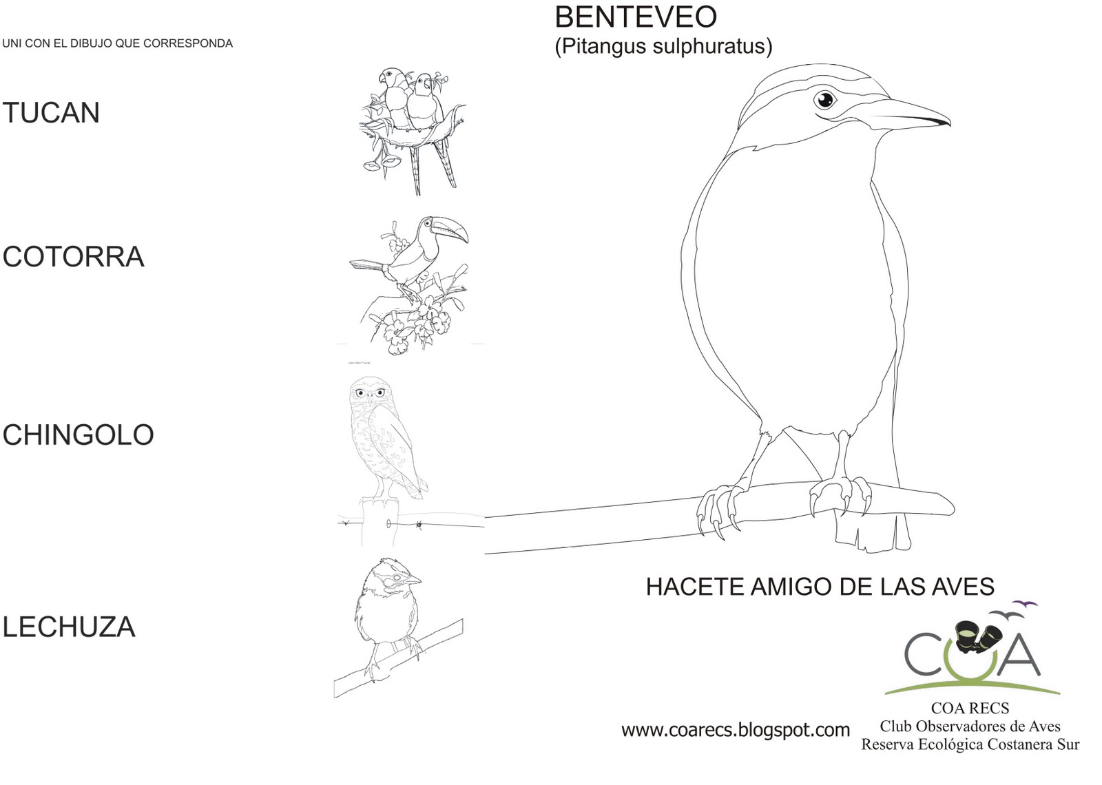COA RECS: Mes de las aves - actividades propuestas para los niños - 8 y ...