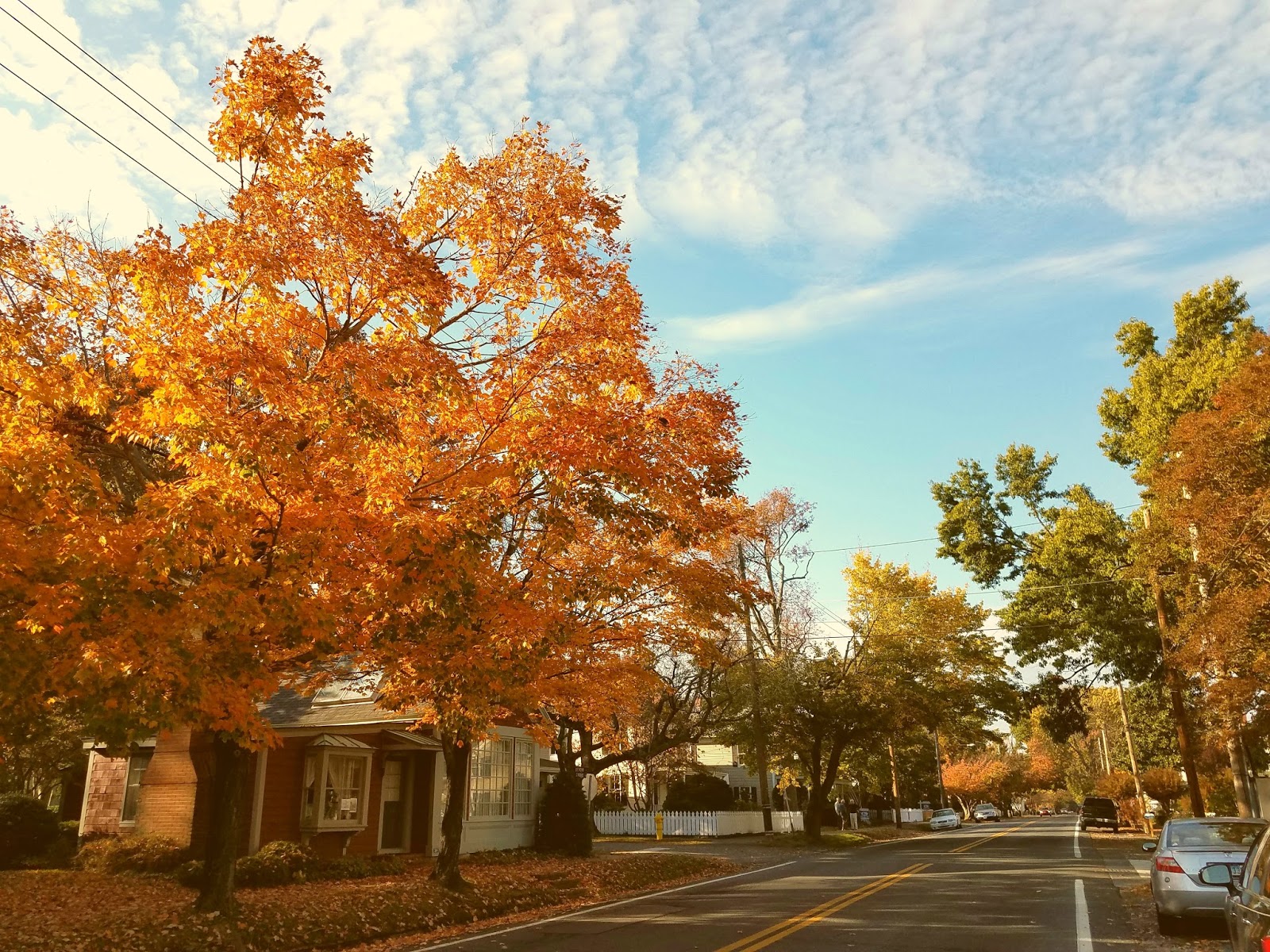 Eastern Shore Magazine ™ - Chesapeake Bay, Maryland, Virginia, Delaware ...