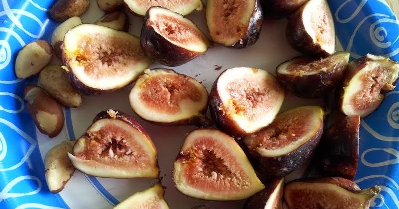The Healthy Hoff: Fig & Brazil Nut Snack