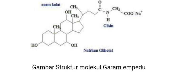My Chemistry Journey: STEROIDA