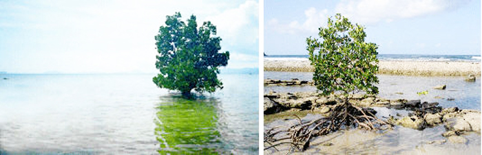 Mambulaoans WorldWide Buzz: Christmas Feature: The secret of our ...