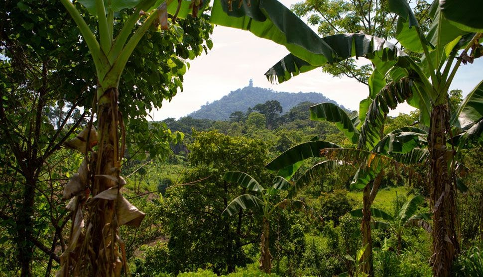 Discovery Channel's Manhunt: "Philippines - Escape the Jungle ...