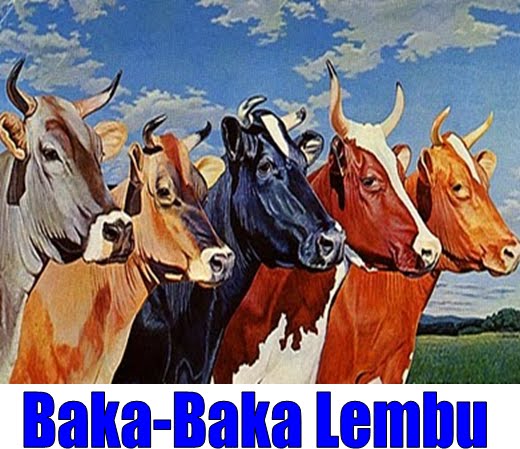 bukan doktor veterinar: Pengenalan baka lembu Tenusu dan pedaging