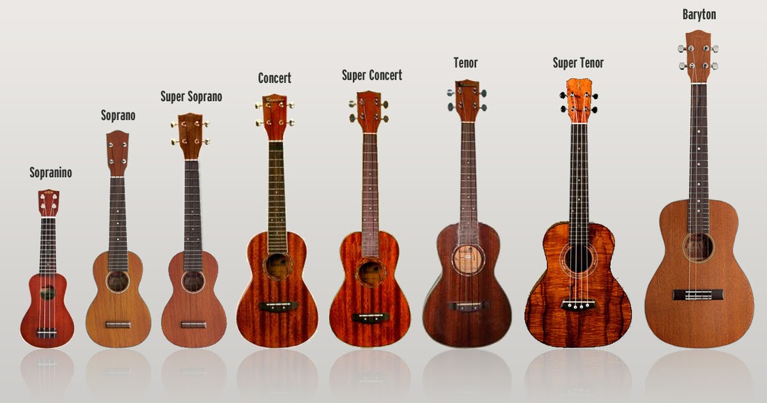 Những điểm cần biết về cấu tạo của đàn ukulele ~ Mua bán các loại đàn ...