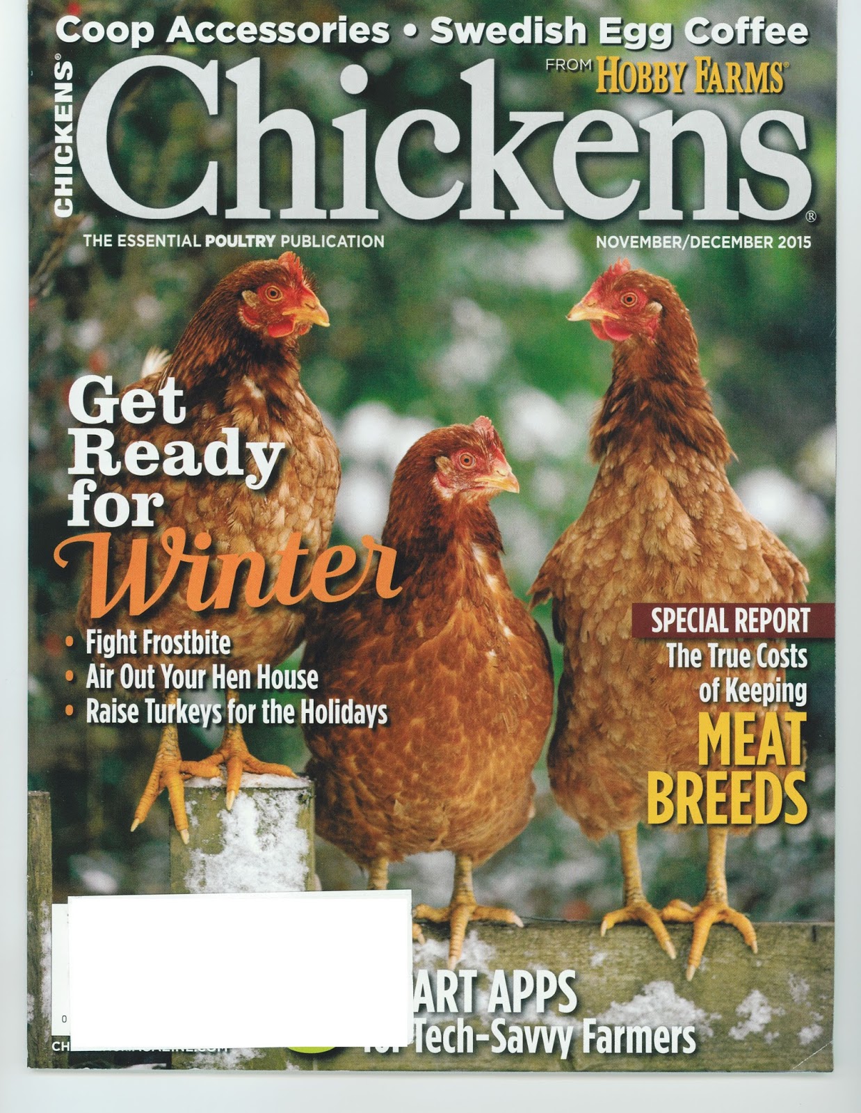 Chicken Magazine