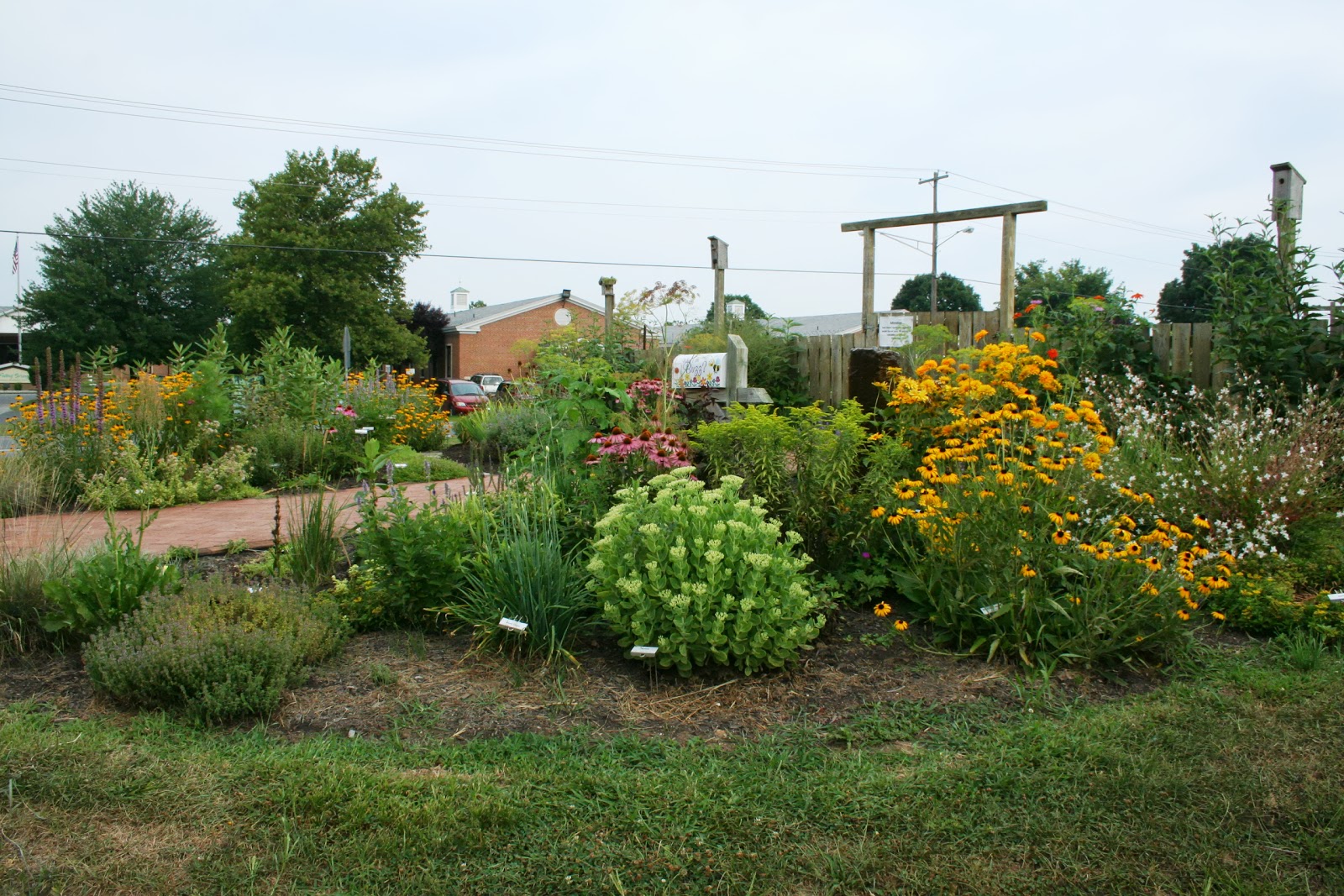 Franklin County (PA) Gardeners: Today in the Pollinator Garden