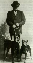 The Dobermans Digest