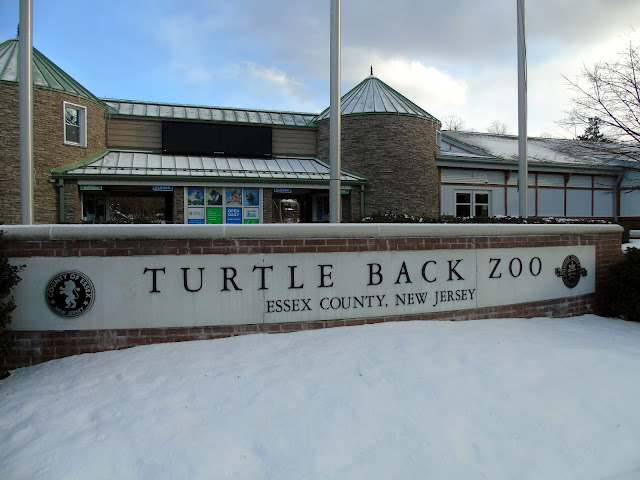 Essex County Place: Turtle Back Zoo Café Plans to Serve Alcoholic Beverages