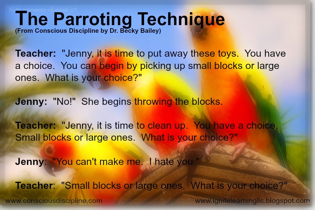 Ignite Learning with Conscious Discipline LLC: Independence Day ...