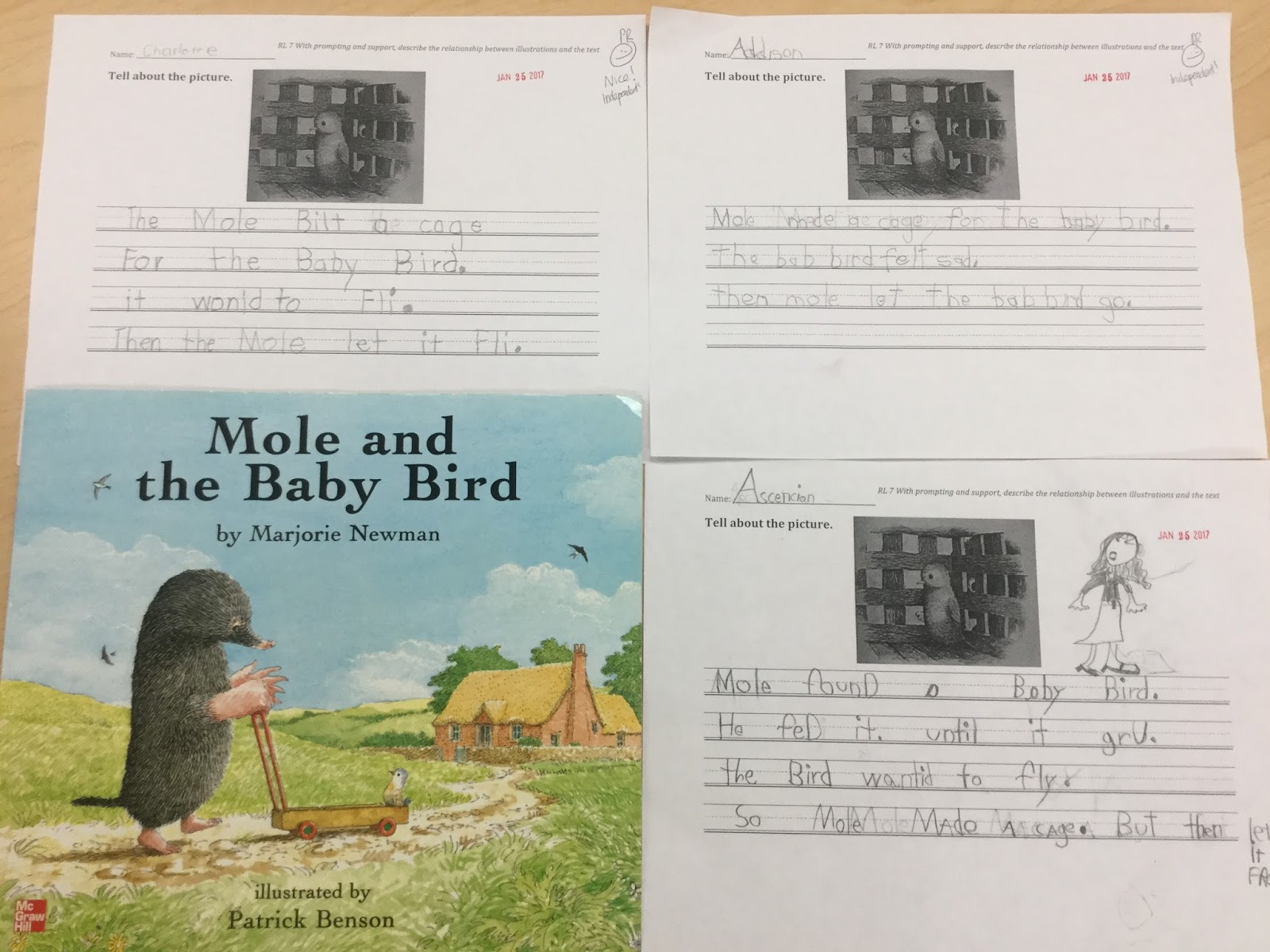 Mole and the Baby Bird