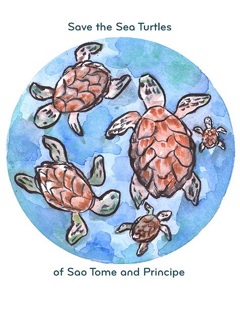 Alain Corbel illustration: How to save the sea turtles of Sao Tome and ...