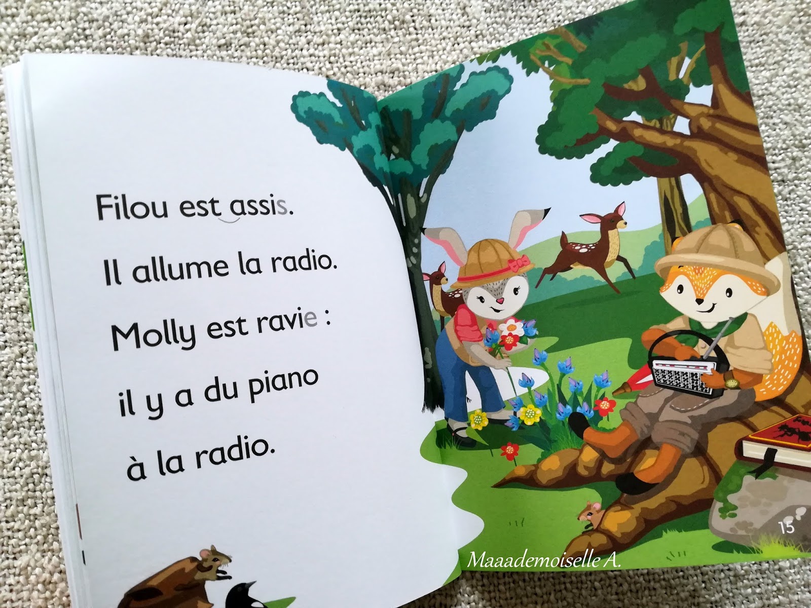 Maaademoiselle A.: || Sélection de livres de première lecture ...