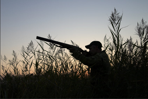 Blog de chasse au chevreuil à l'arc: Nous tous nés, pour chasser
