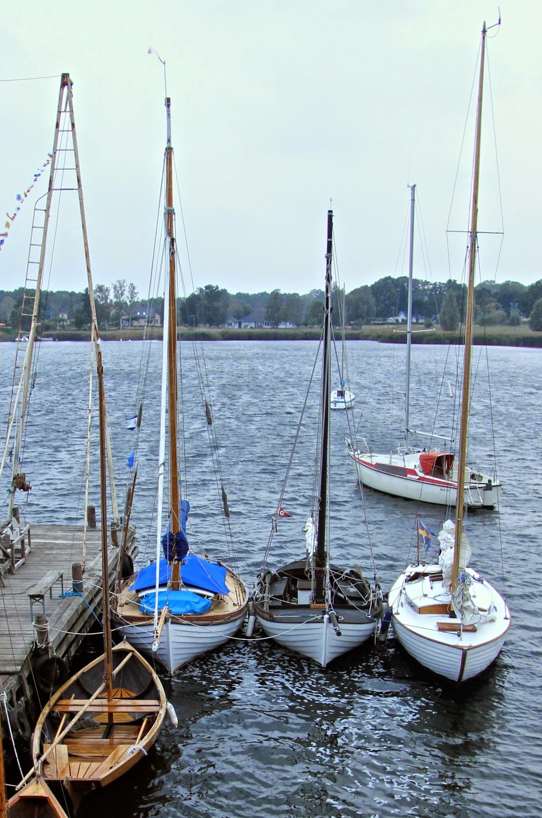 Grisslan: Grisslan kommer hem