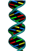 Jade Circle® Anamarta: ***~ Snake Year & 2013...!