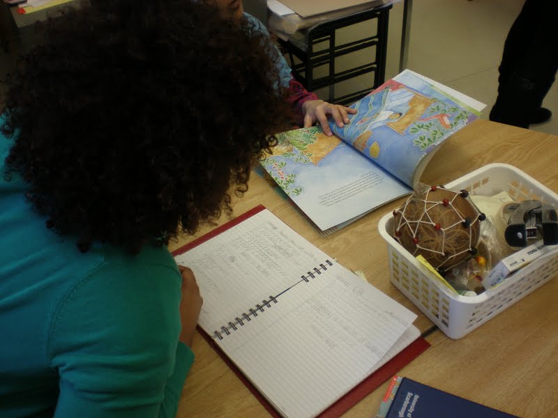 Demonstration Classroom Sharing: What do you observe, wonder and infer?