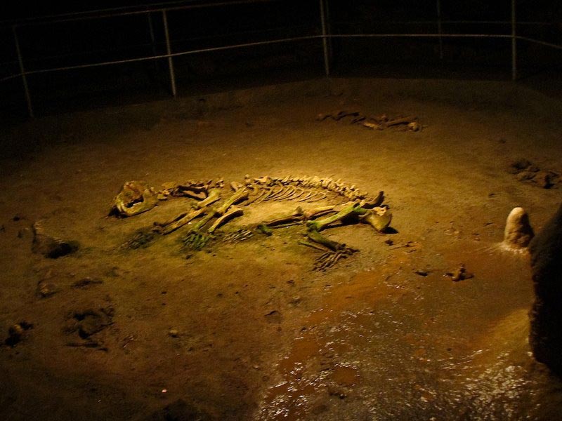 CELESTINE VISION: PEŞTERA POLOVRAGI - Lăcaşul lui Zamolxis