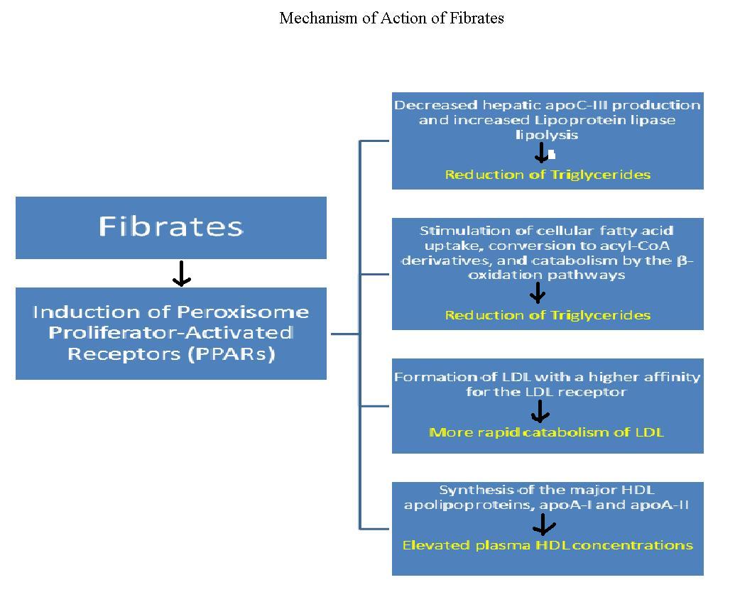 Drug Interactions Simplified: Drug Interactions of Lipid Lowering Drugs ...
