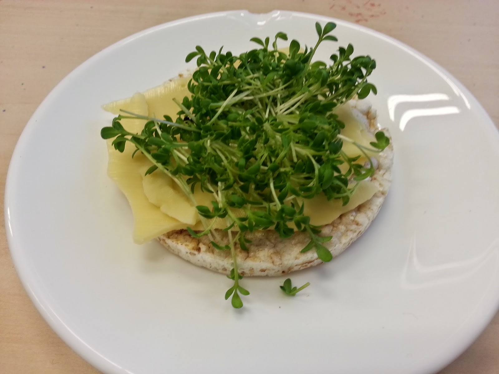 Winford Amsterdam: Tuinkers!