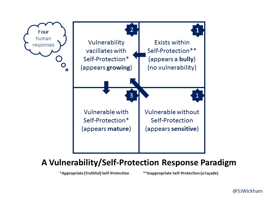 TRIBEWORK: A Vulnerability/Self-Protection Response Paradigm