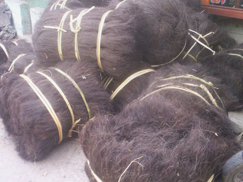 Pengertian dan Berbagai Macam Kualitas Ijuk