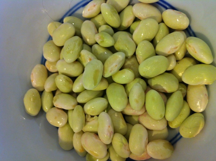 Brooklynguy's Wine and Food Blog: Shell Beans