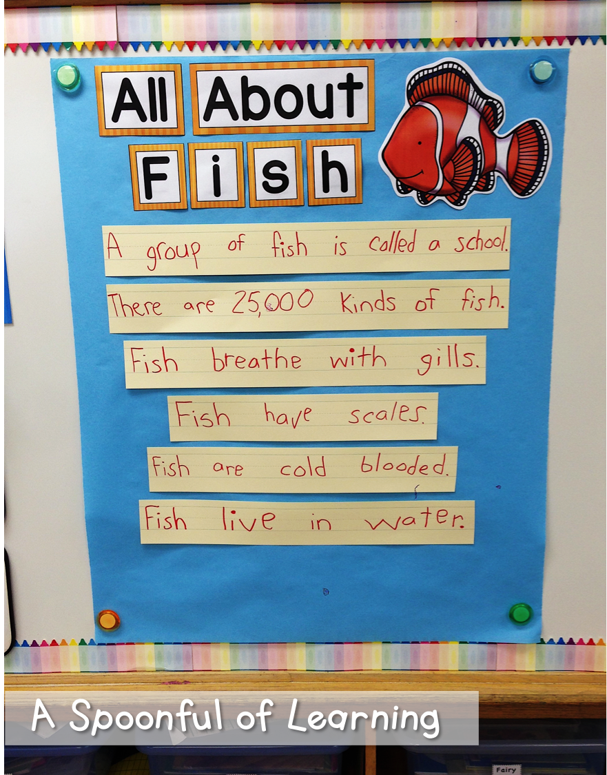 Ocean Unit Study - A Spoonful of Learning