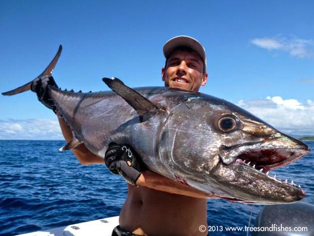 WARTA PANCING: Tuna Gigi Anjing Lawan Tangguh Pemancing Sport Sejati