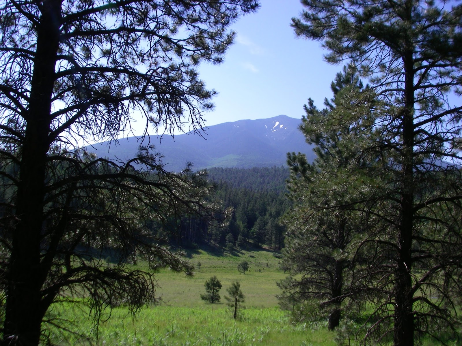 Ravine Ravings: Arizona Trail - Hart Prairie Loop via Mountain Bike
