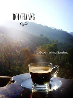 World Travel: Doi Chaang, The best coffee of th world กาแฟดอยช้าง "กาแฟ ...