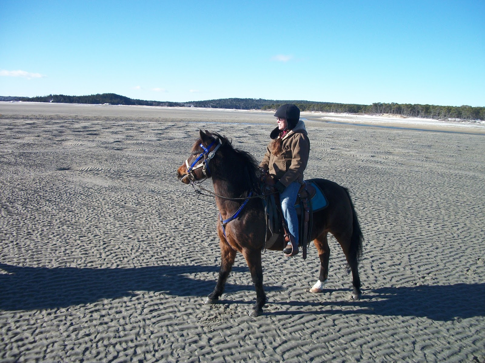 Lily, The Lovely Bright Molly: Cierra's First Ride at the Beach