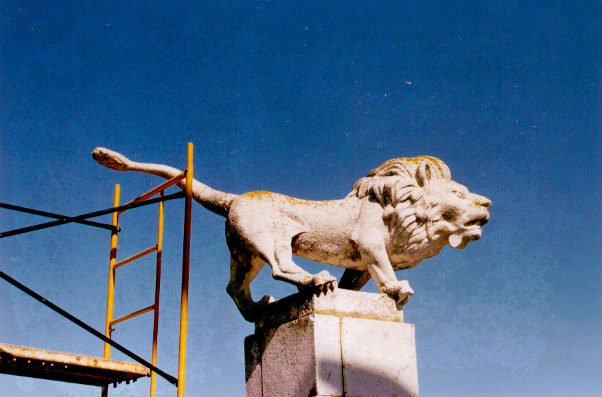 De todo un poco: Cola del León