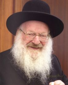 The Partial View: Rav Matisyahu Solomon calls on American Bnei Torah to ...