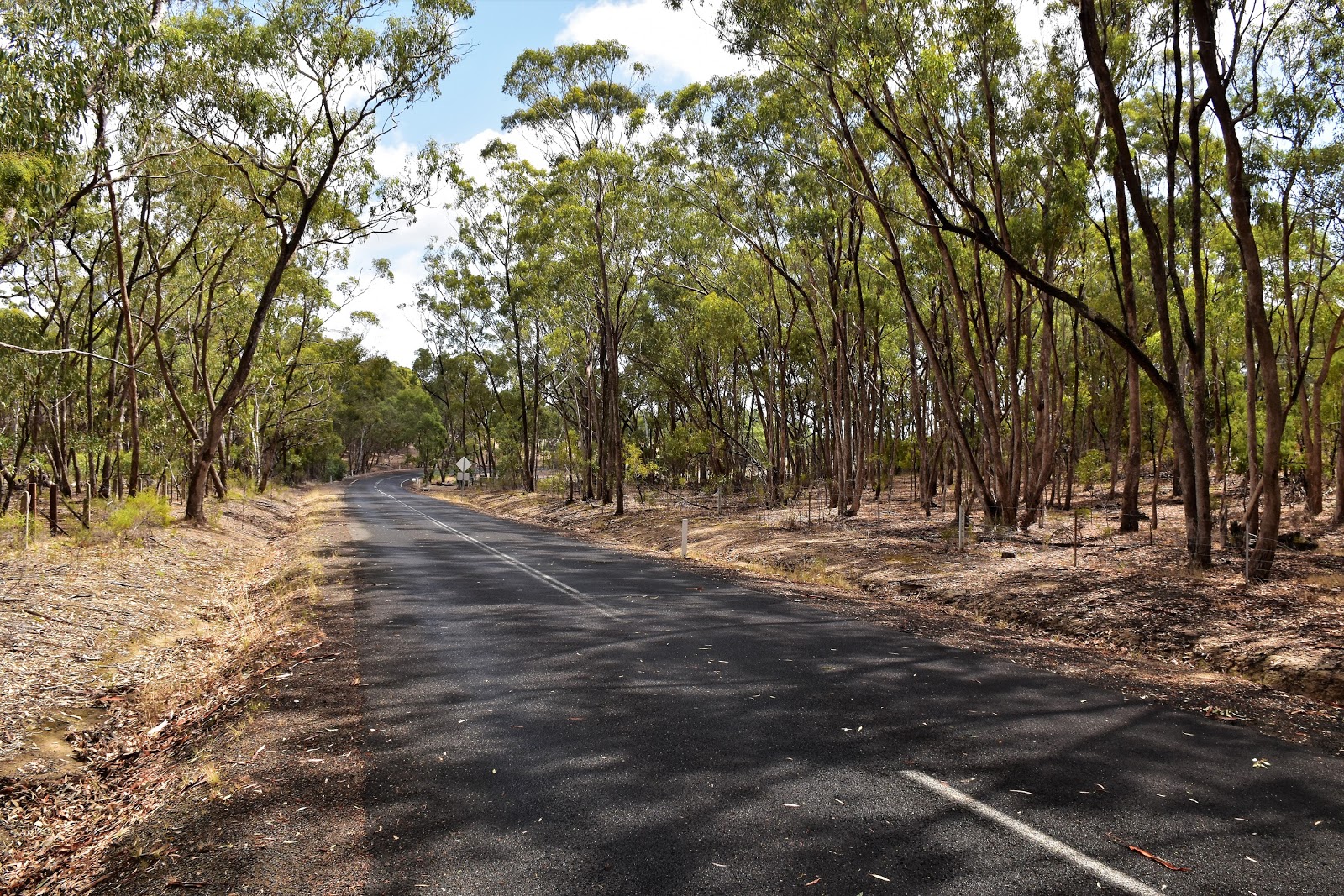 Goin' Feral One Day At A Time: Mandurang Walk, Greater Bendigo National ...