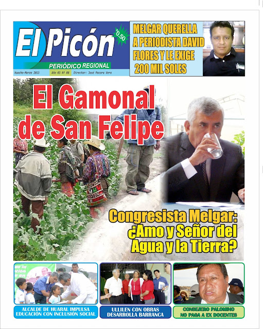 EL PICÓN: EDICIÓN MARZO 2013