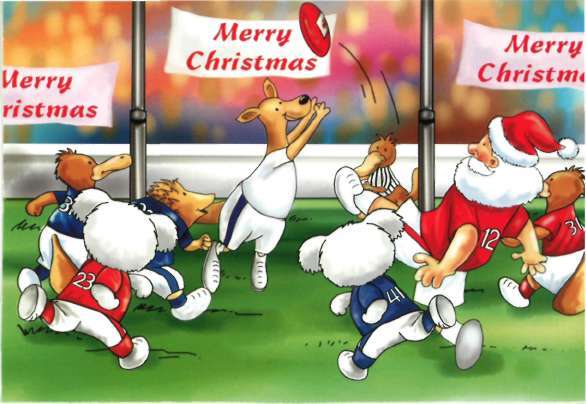 AFL / Aussie Rules Football Training: 2017