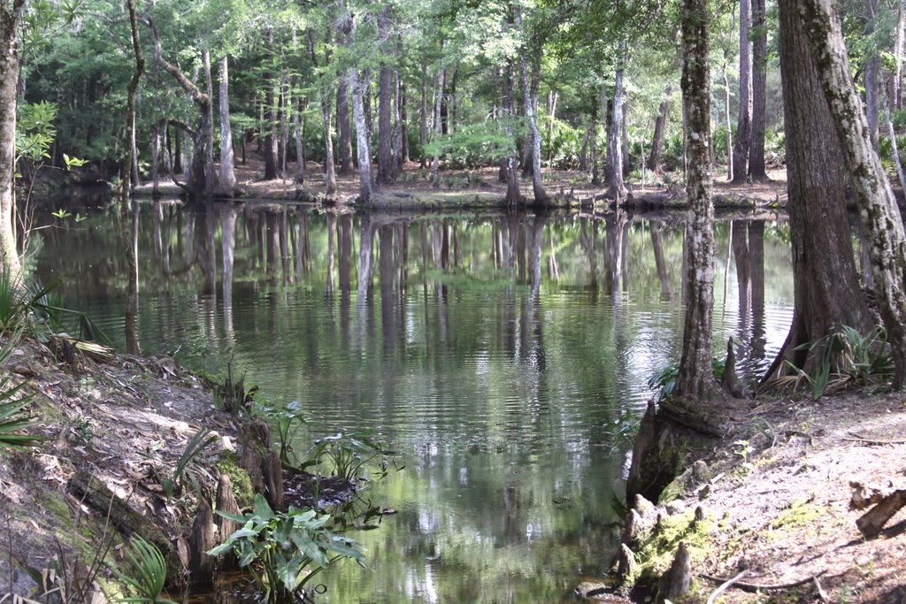 ONCE A CIVIL WAR: March 6, 1865---The Battle of Natural Bridge, Florida
