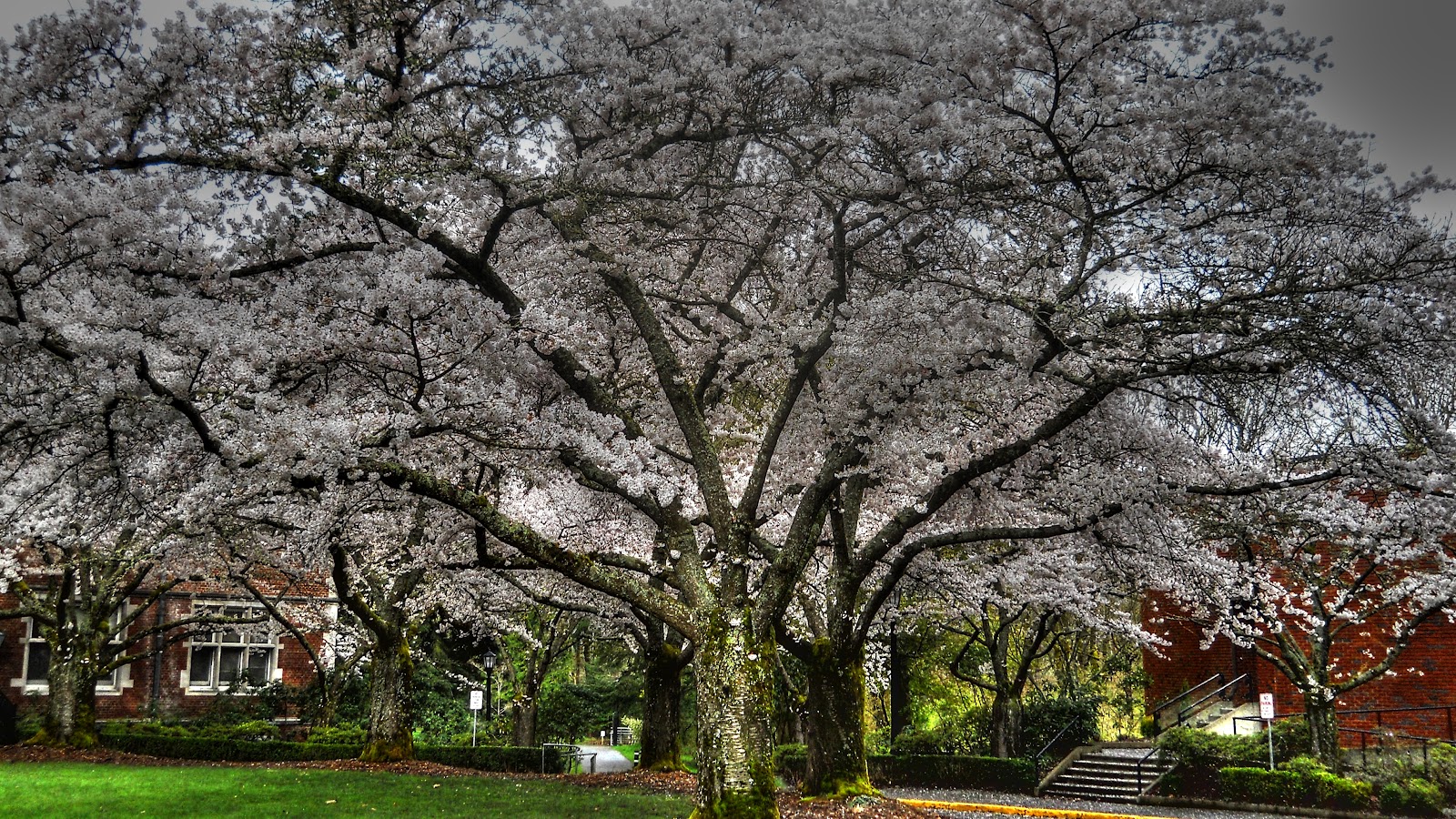 Thom Zehrfeld Photography : Reed College In HDR
