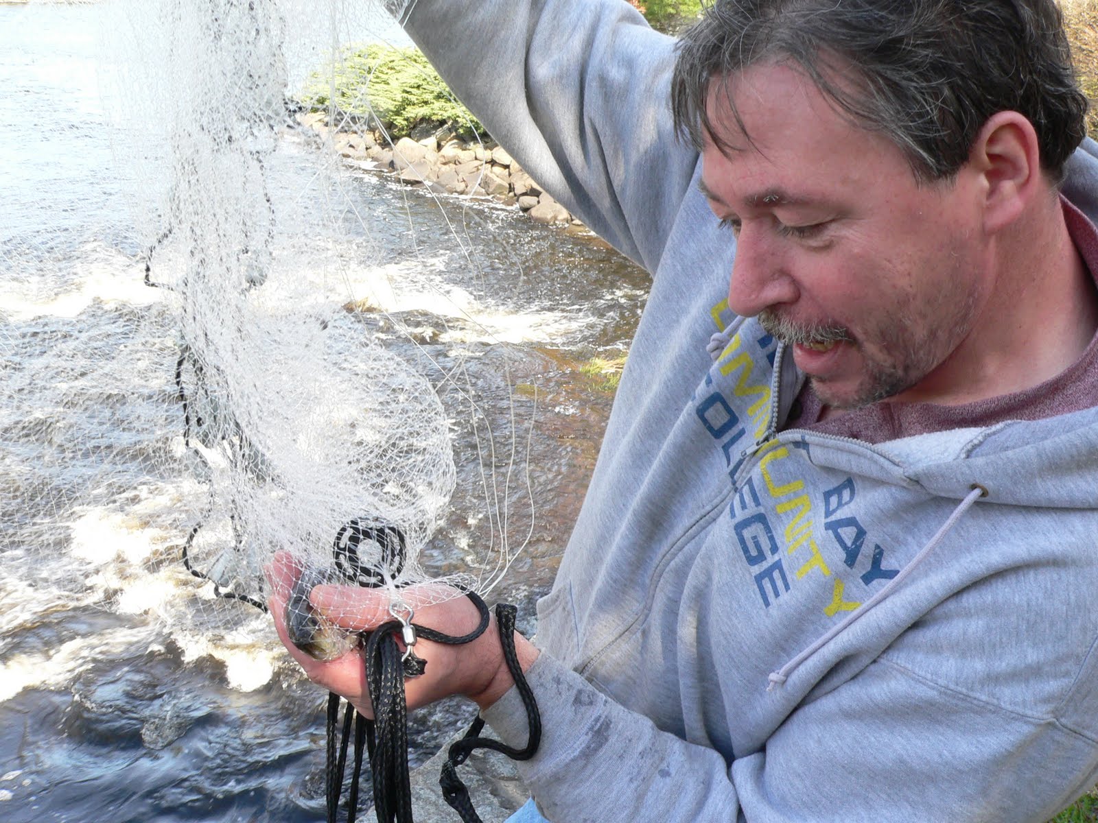 Catch-M-All: Bonus Fish: River Herring