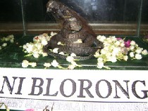 ade skster: Legenda Nyi Blorong, Mistery Pantai Selatan